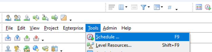 Primavera P6 - 'Schedule' Tool